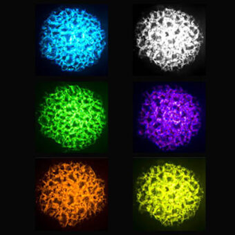 Rent LED Water Effect Lighting | Free Shipping Nationwide